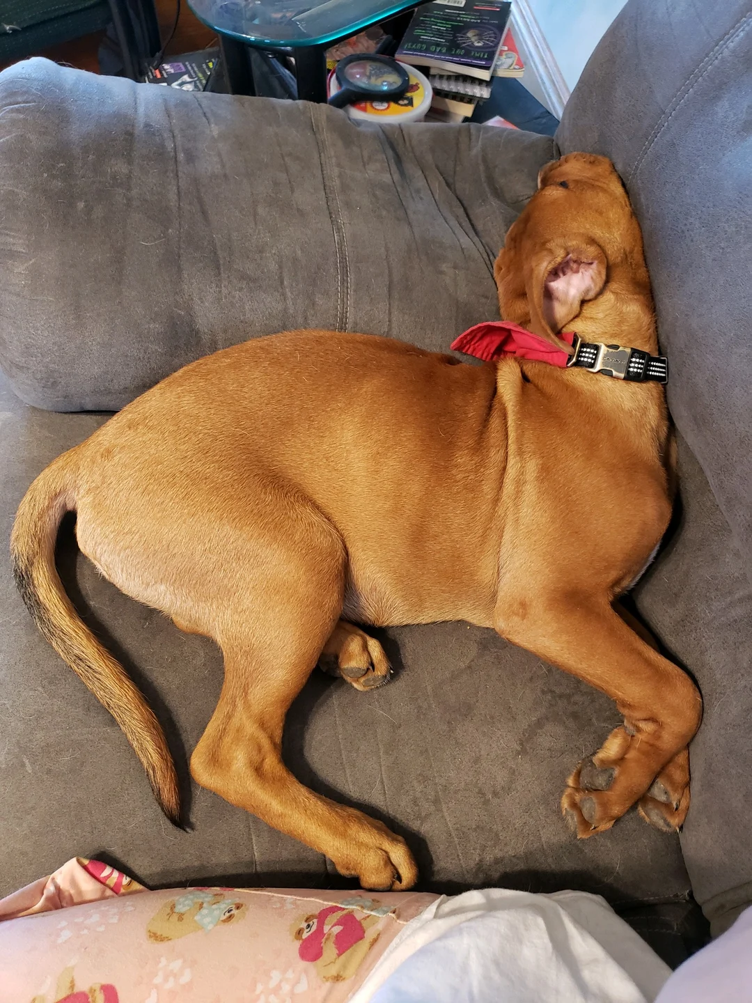 Relaxation | Scrolller