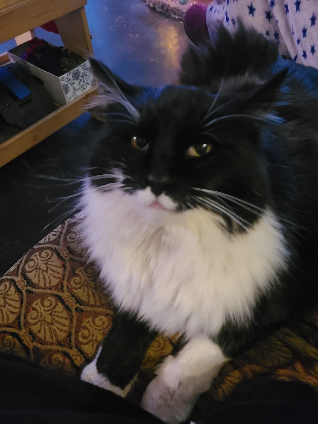 He's mad at me because I looked at him funny | Scrolller