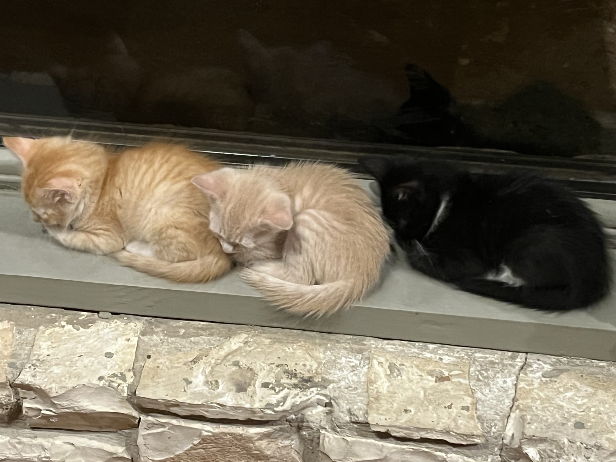 Triple Batch! | Scrolller