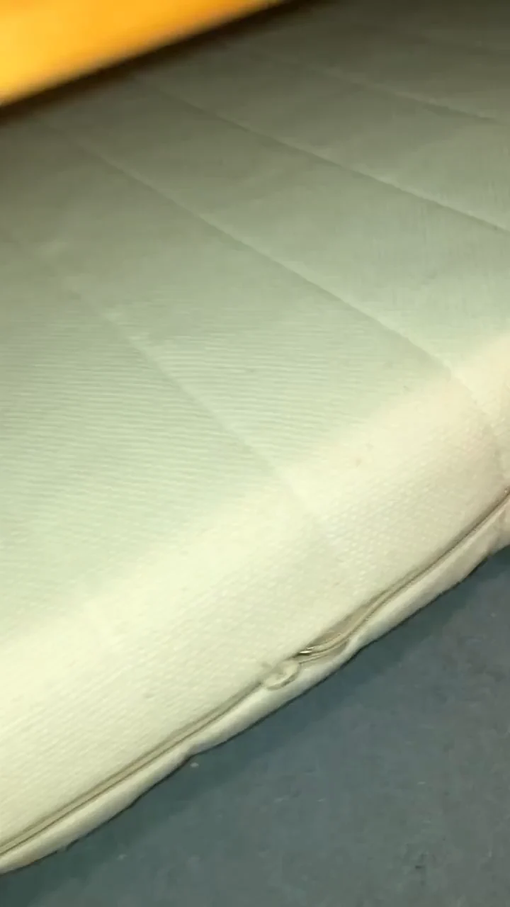 I thought I lost my dog. Turns out he was just looking for somewhere to nap… | Scrolller