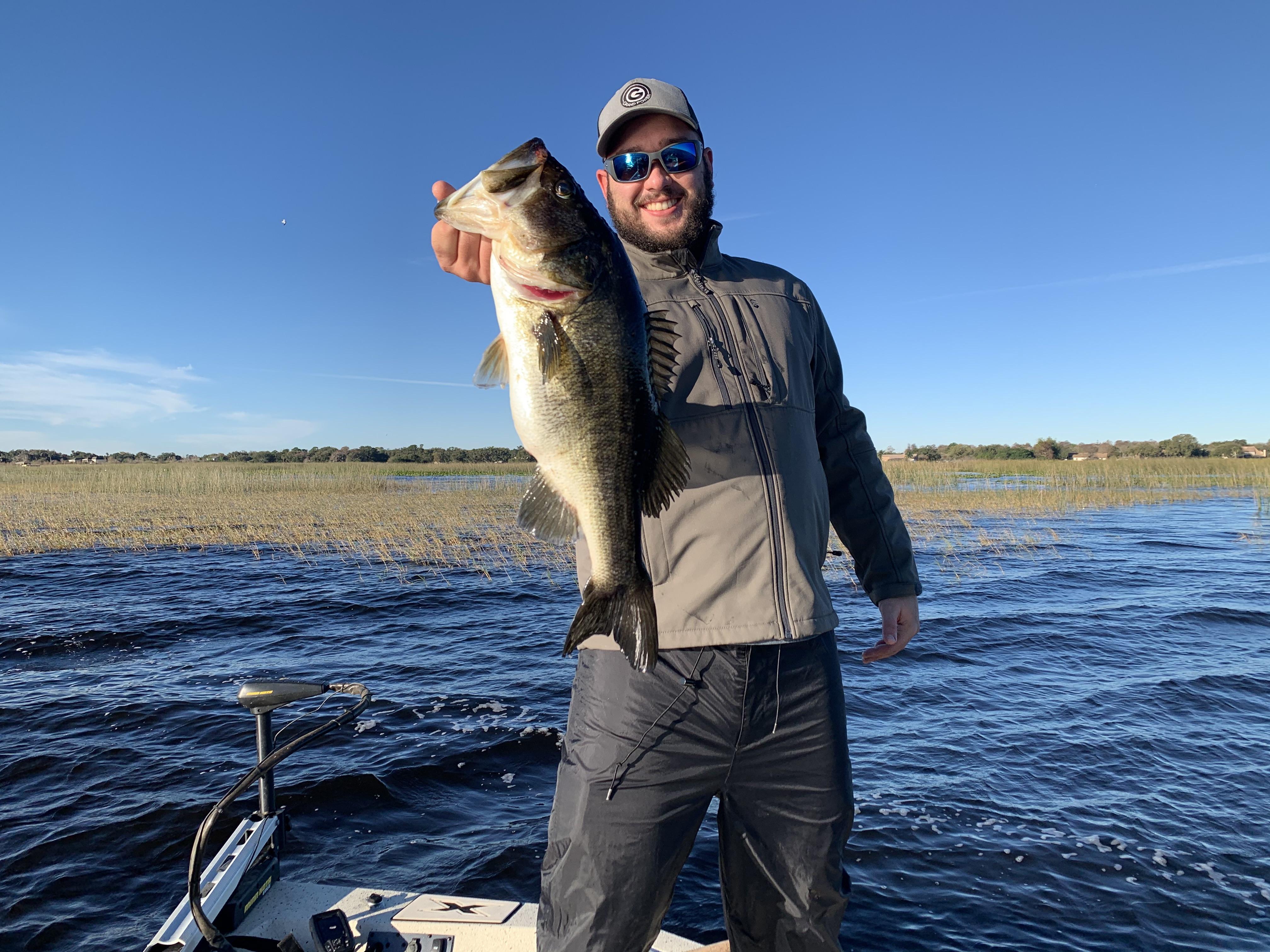 Bubble gut on a shiner | Scrolller