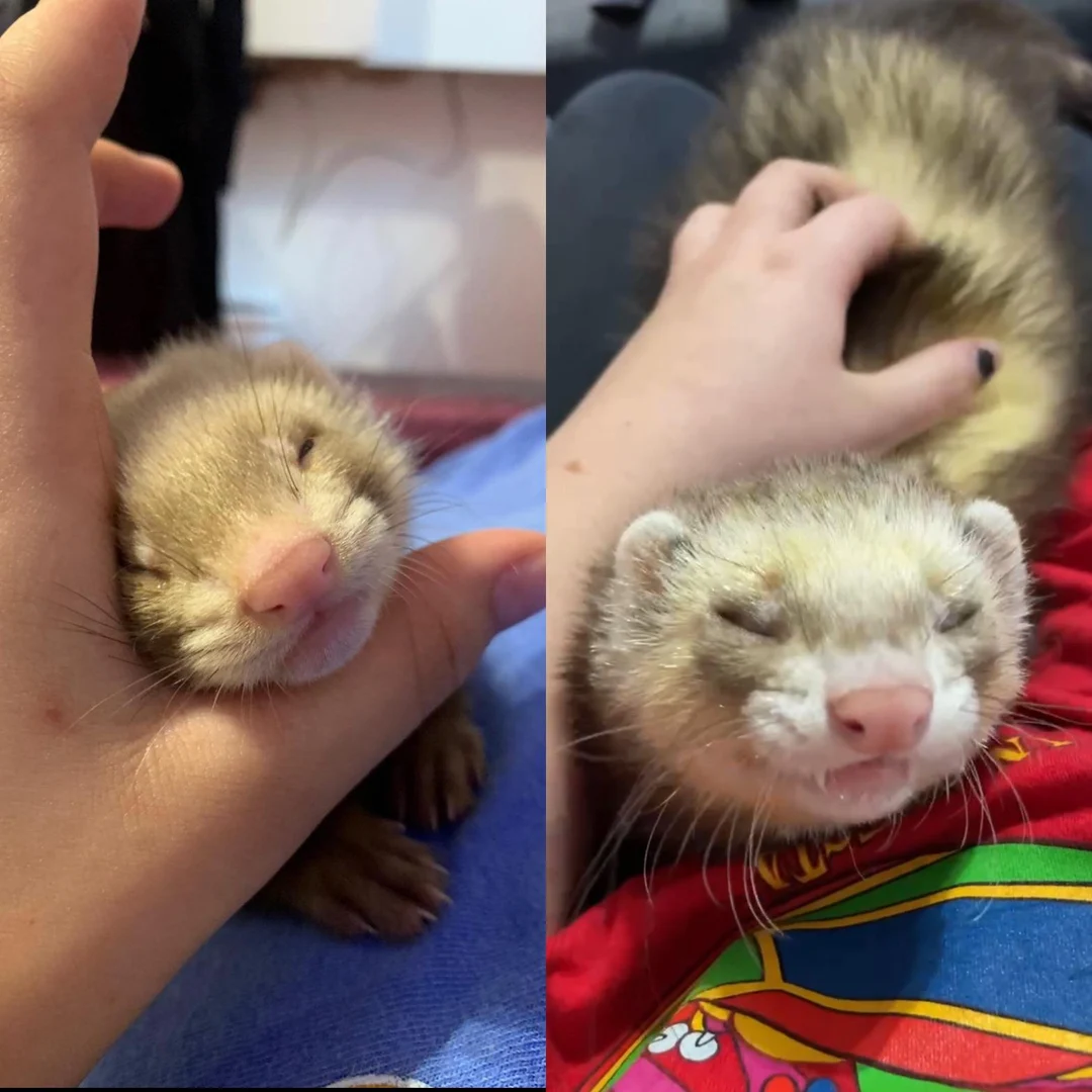 will never get over my tiny baby turning into a big stinky boi | Scrolller