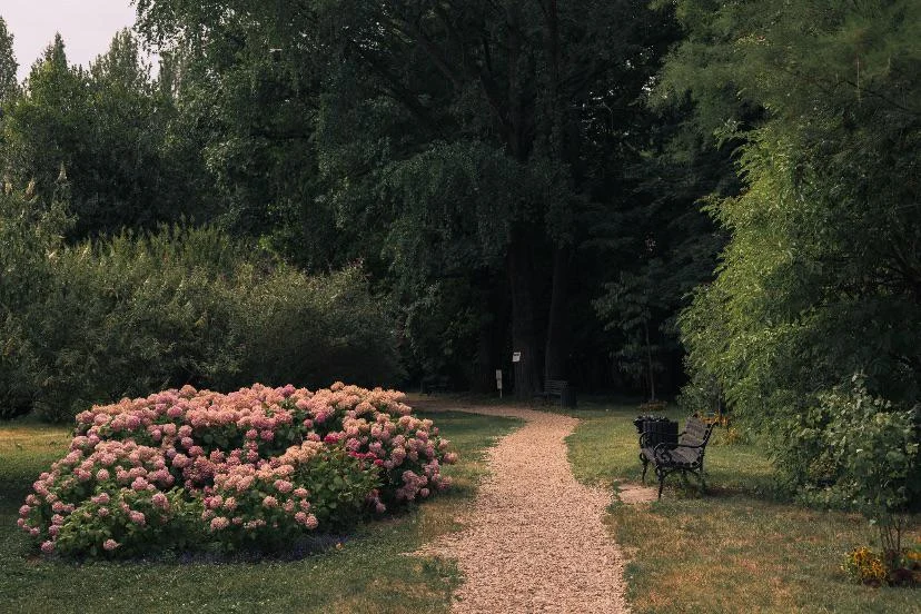 Botanical garden | Scrolller