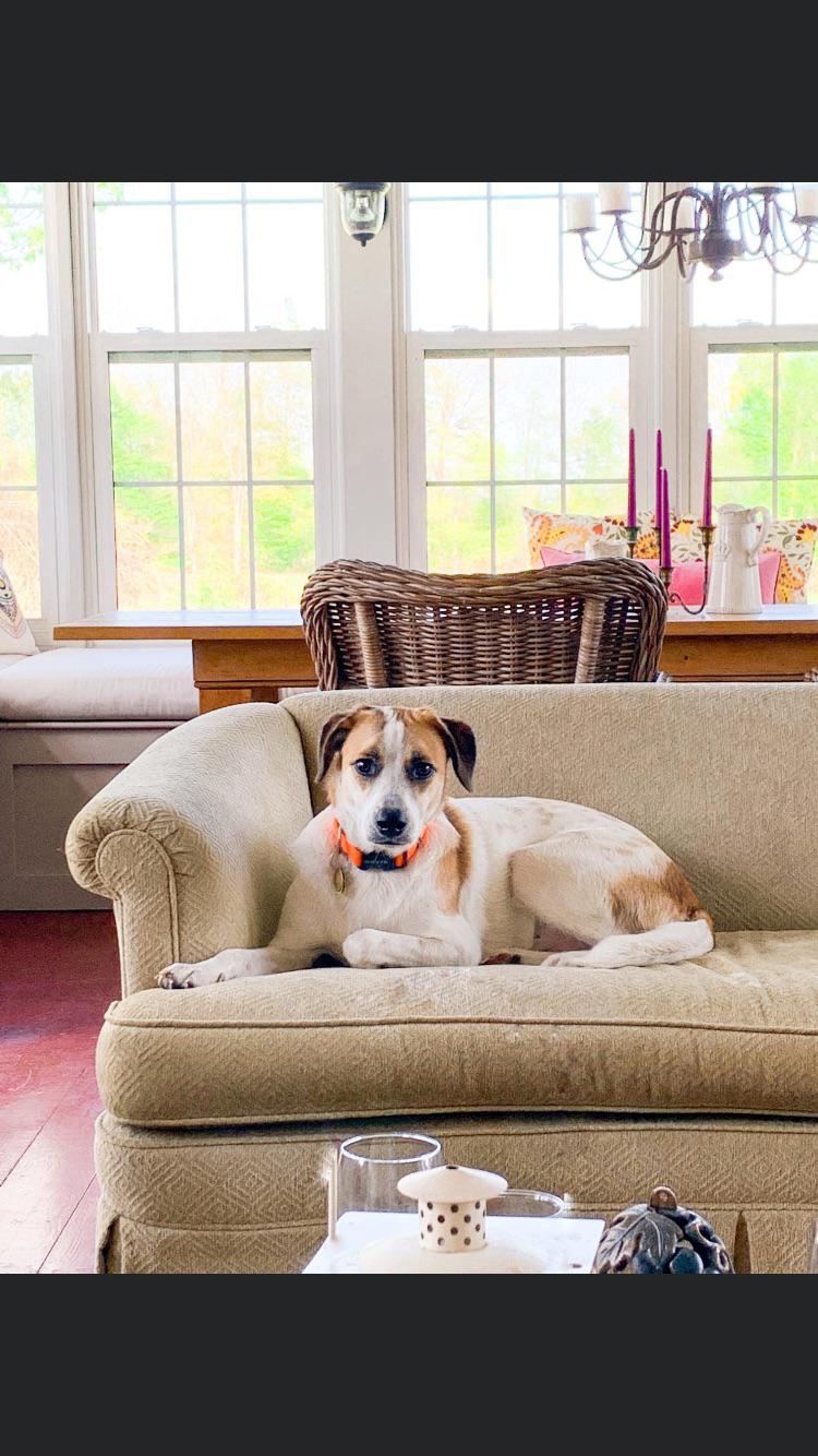 My stone farmhouse (interior) | Scrolller