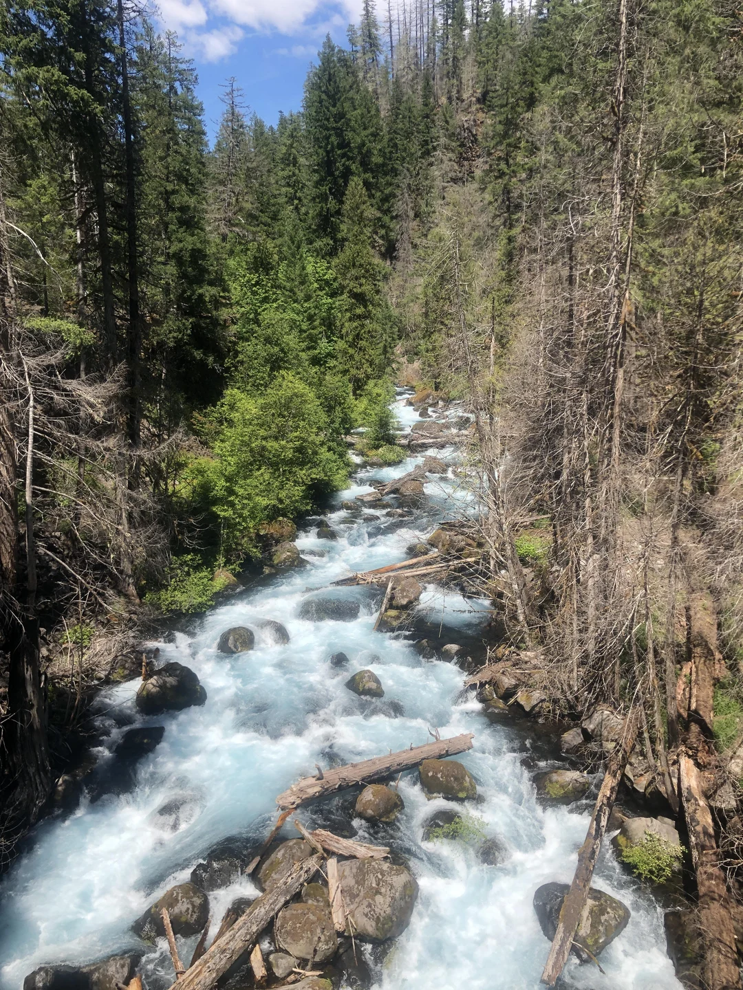 Blue Pool, Oregon [OC] 1920x1080 | Scrolller