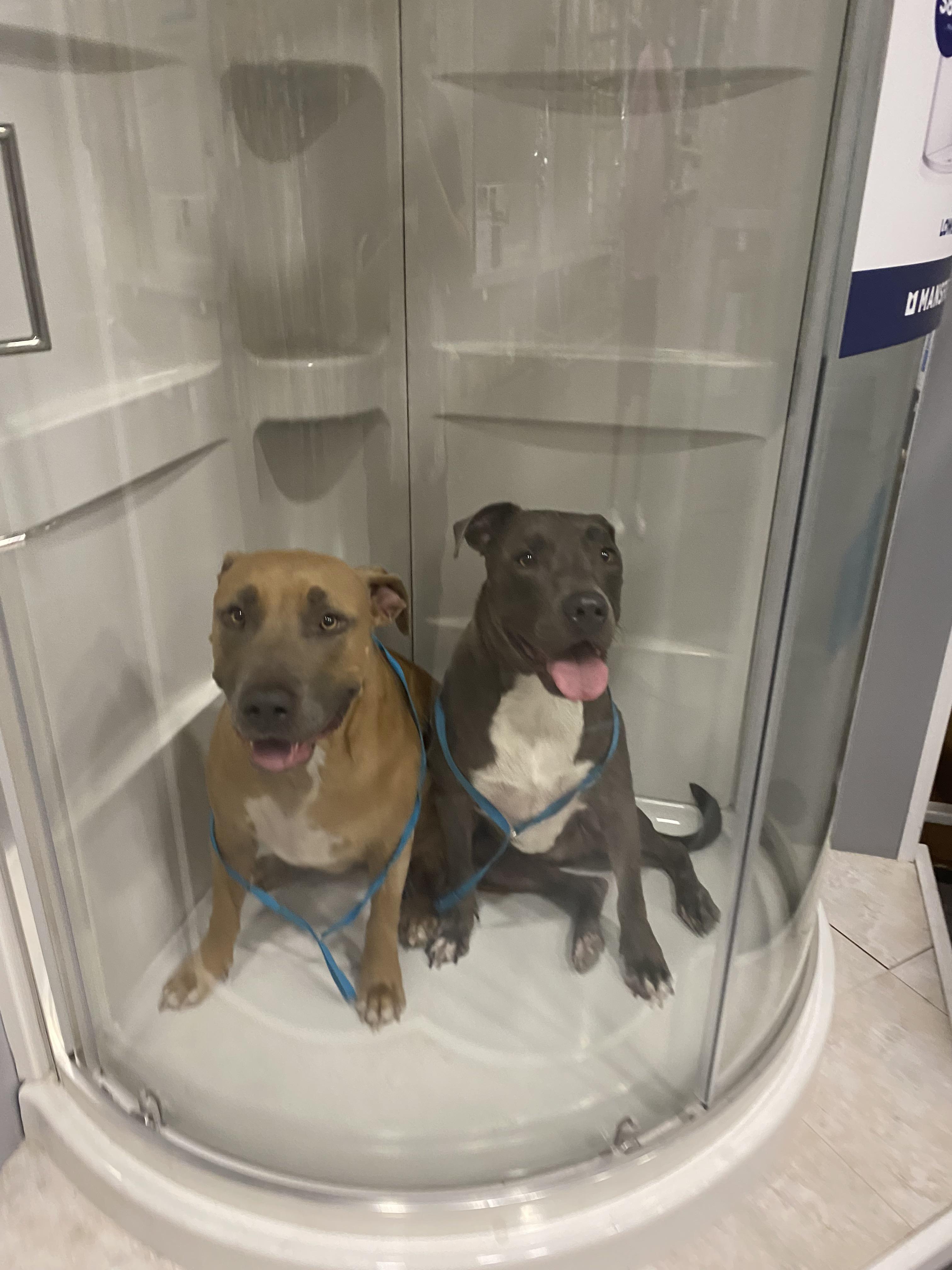 Capsule monsters. | Scrolller