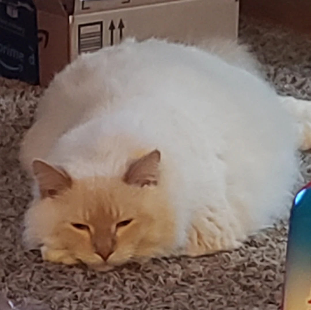 Sleepy cloud | Scrolller