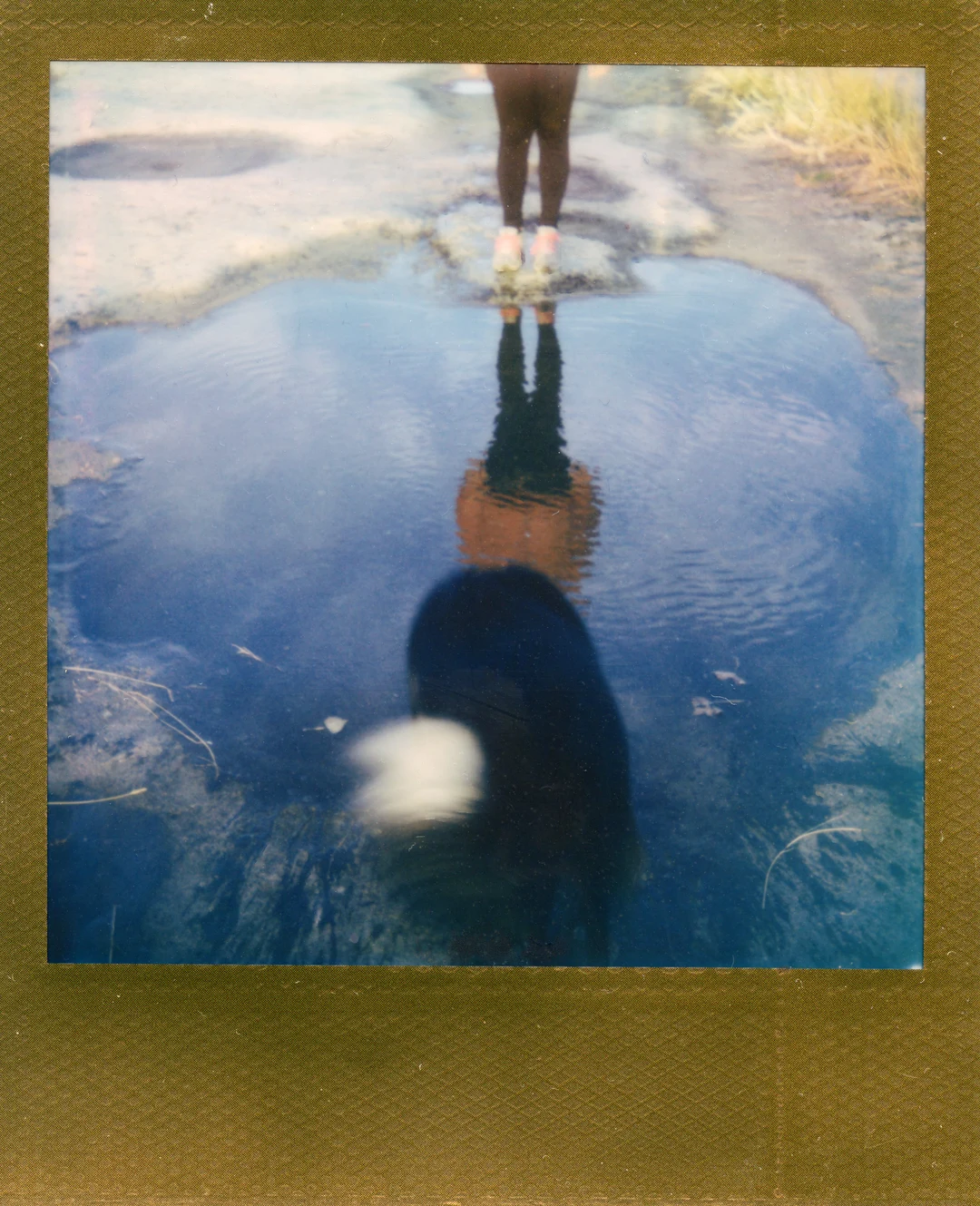 Puddle. One step 2. | Scrolller