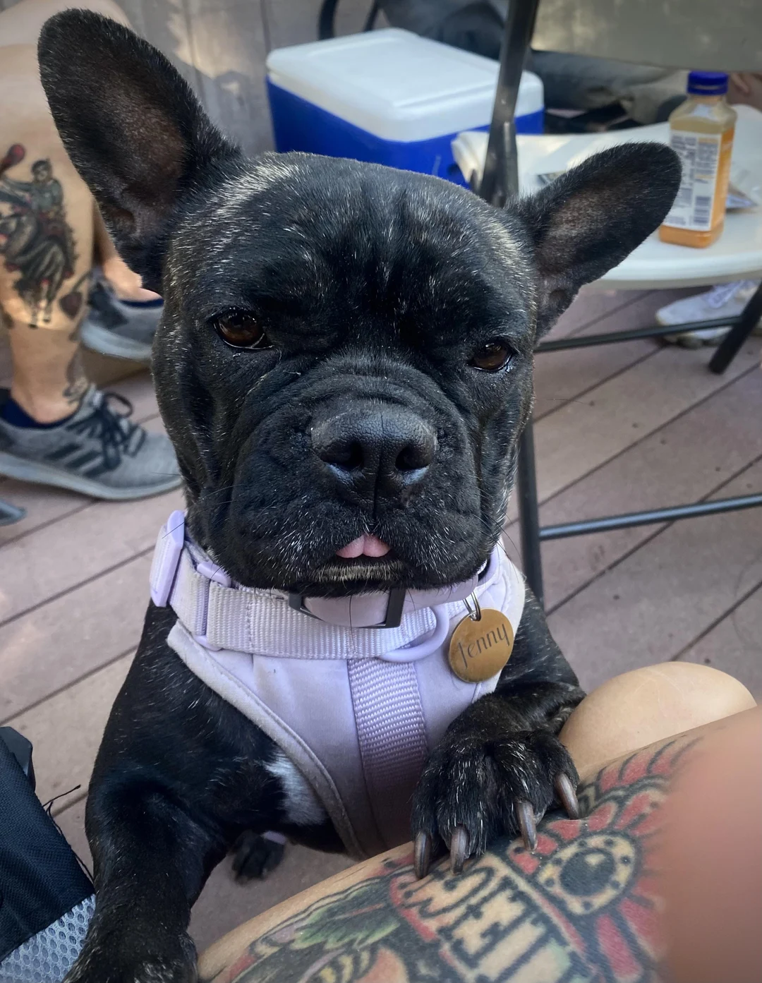 She’s derpy | Scrolller