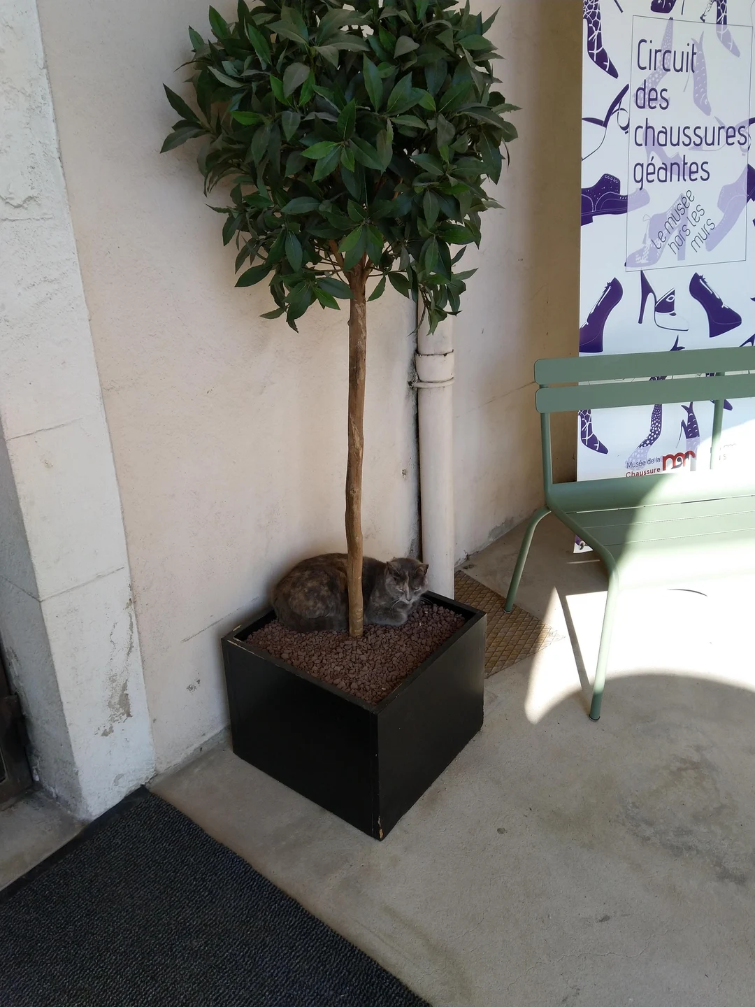 Outside the International Shoe Museum of Romans [sic] | Scrolller