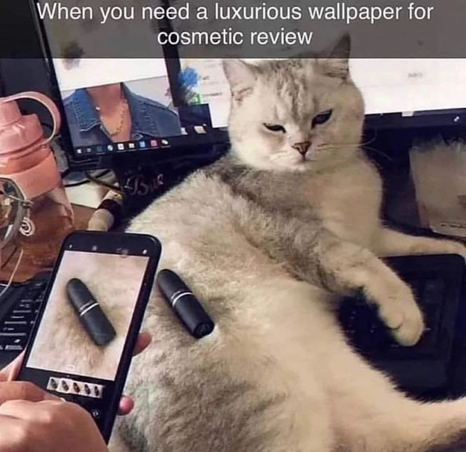 So accurate | Scrolller