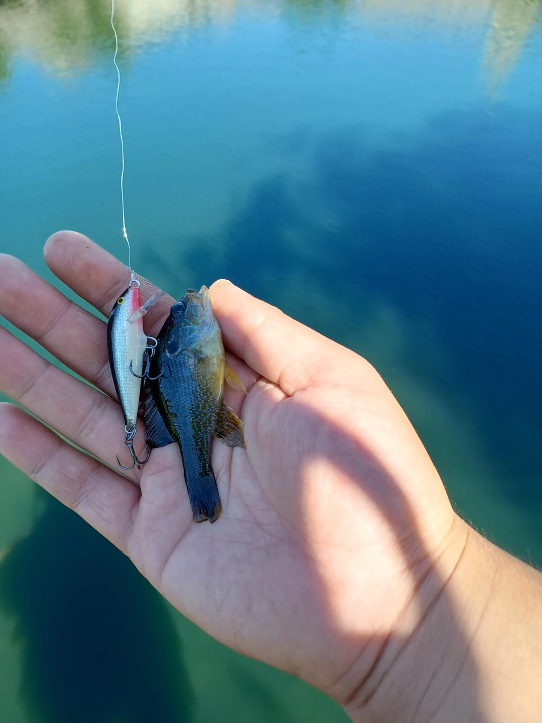 Gluttony is an especially deadly sin for you lil dude | Scrolller