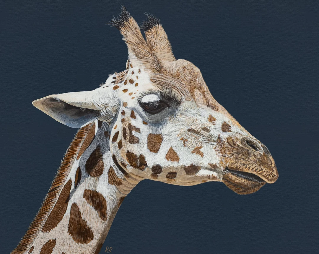 Acrylic painting I made of a majestic giraffe! | Scrolller