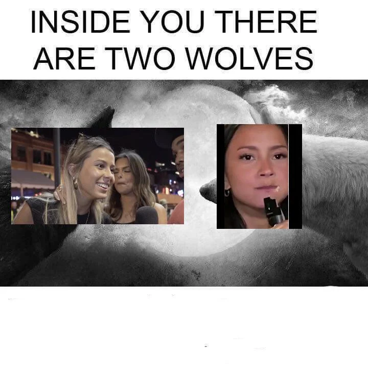 Discover more like Meme: Two Wolves and Related Content | Scrolller