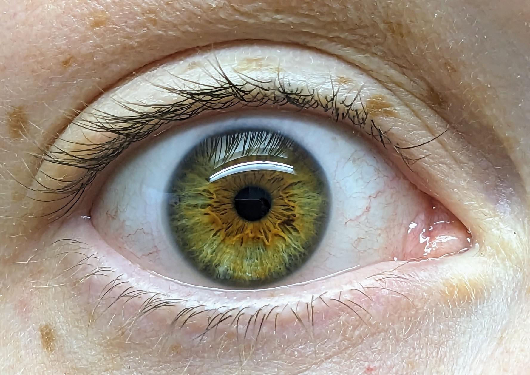 True Hazel Green | Scrolller