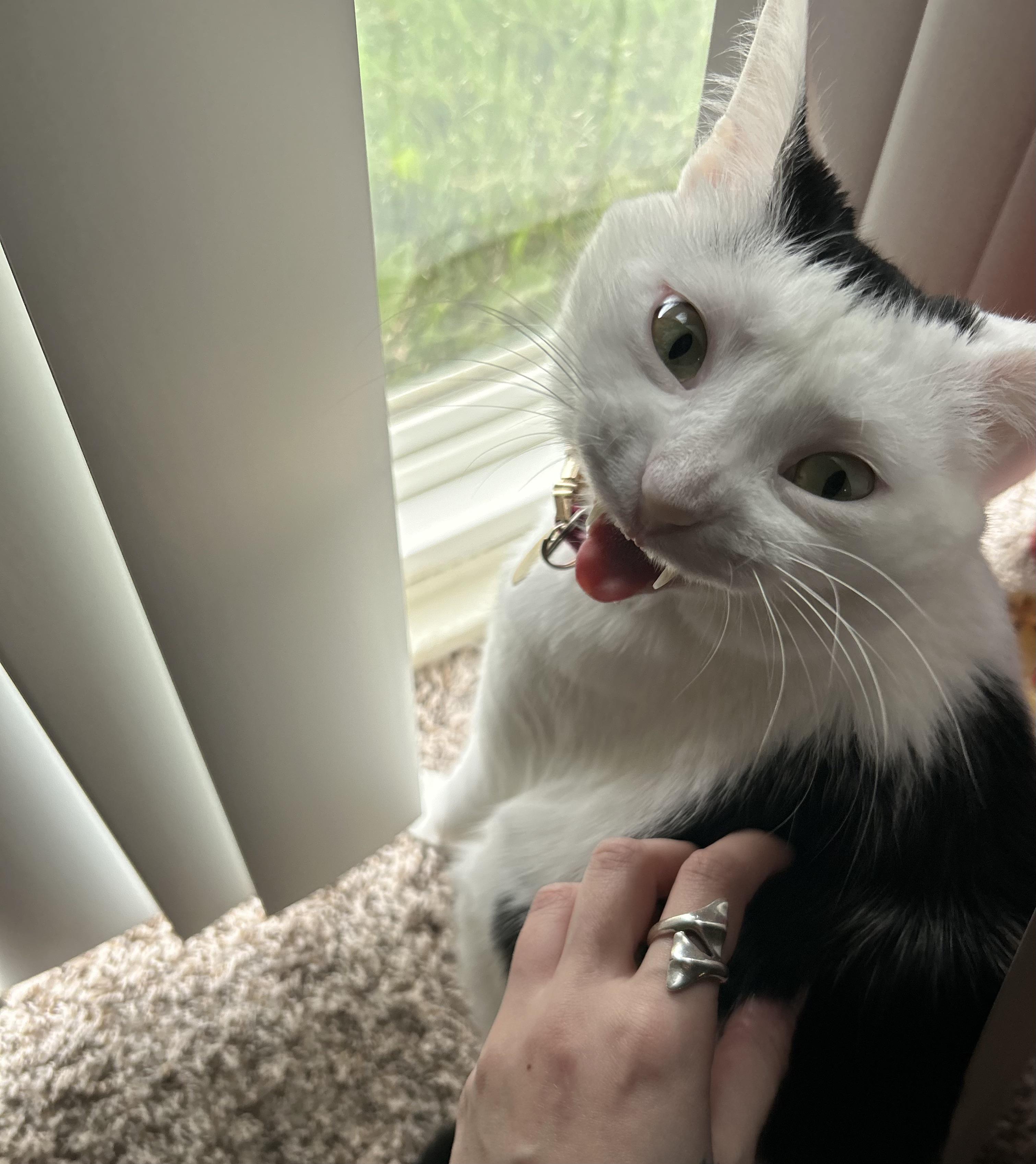 I have awakened a demon | Scrolller