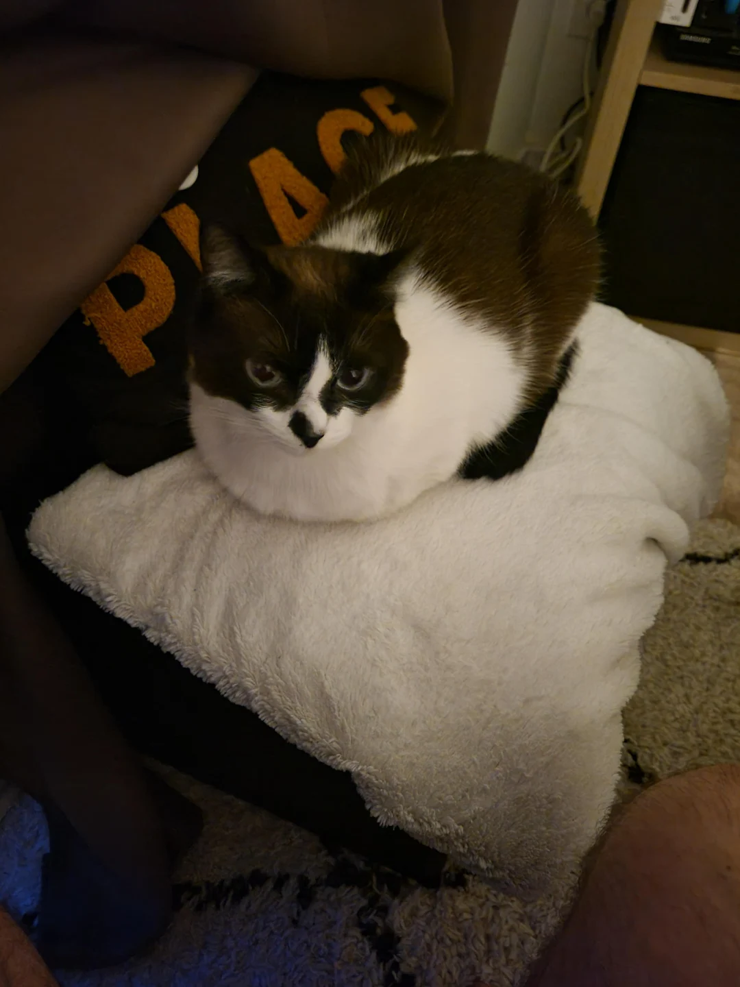 I have a very good loaf right here | Scrolller