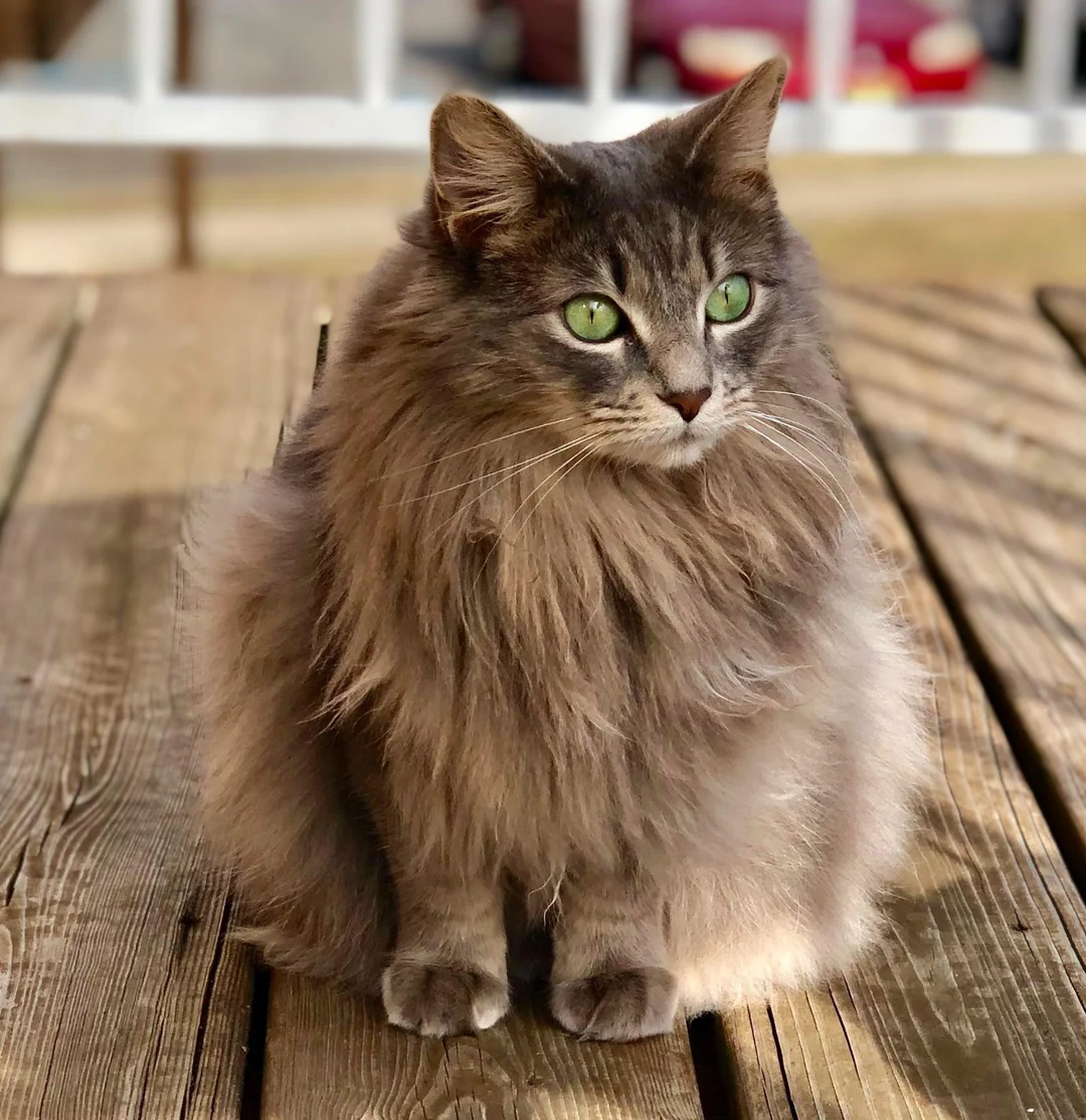 Incredible looks. | Scrolller