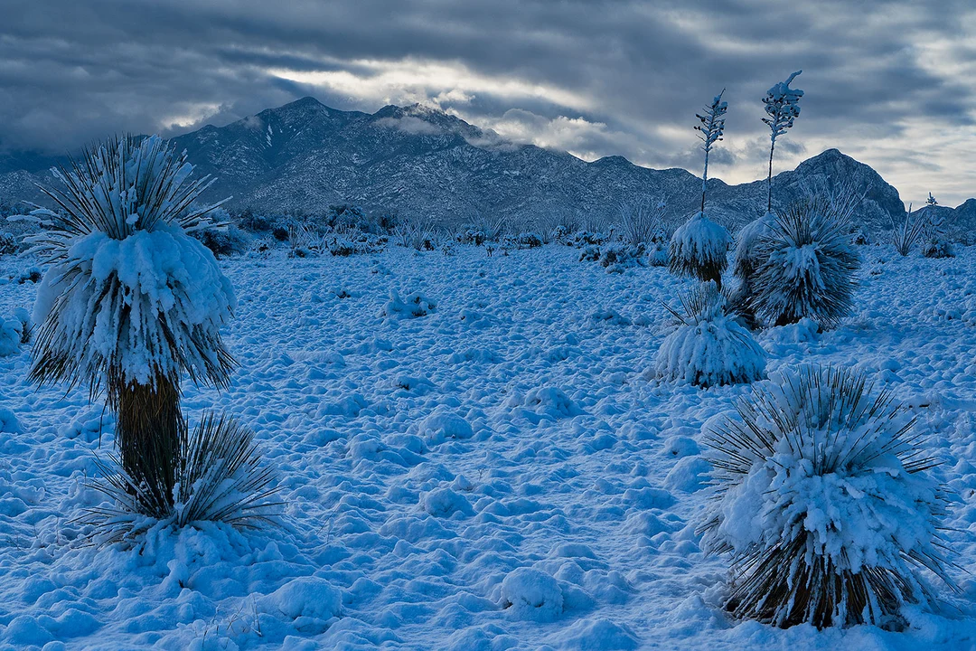 Once in 10 years desert snow in Arizona [OC] [1500 × 1000] | Scrolller