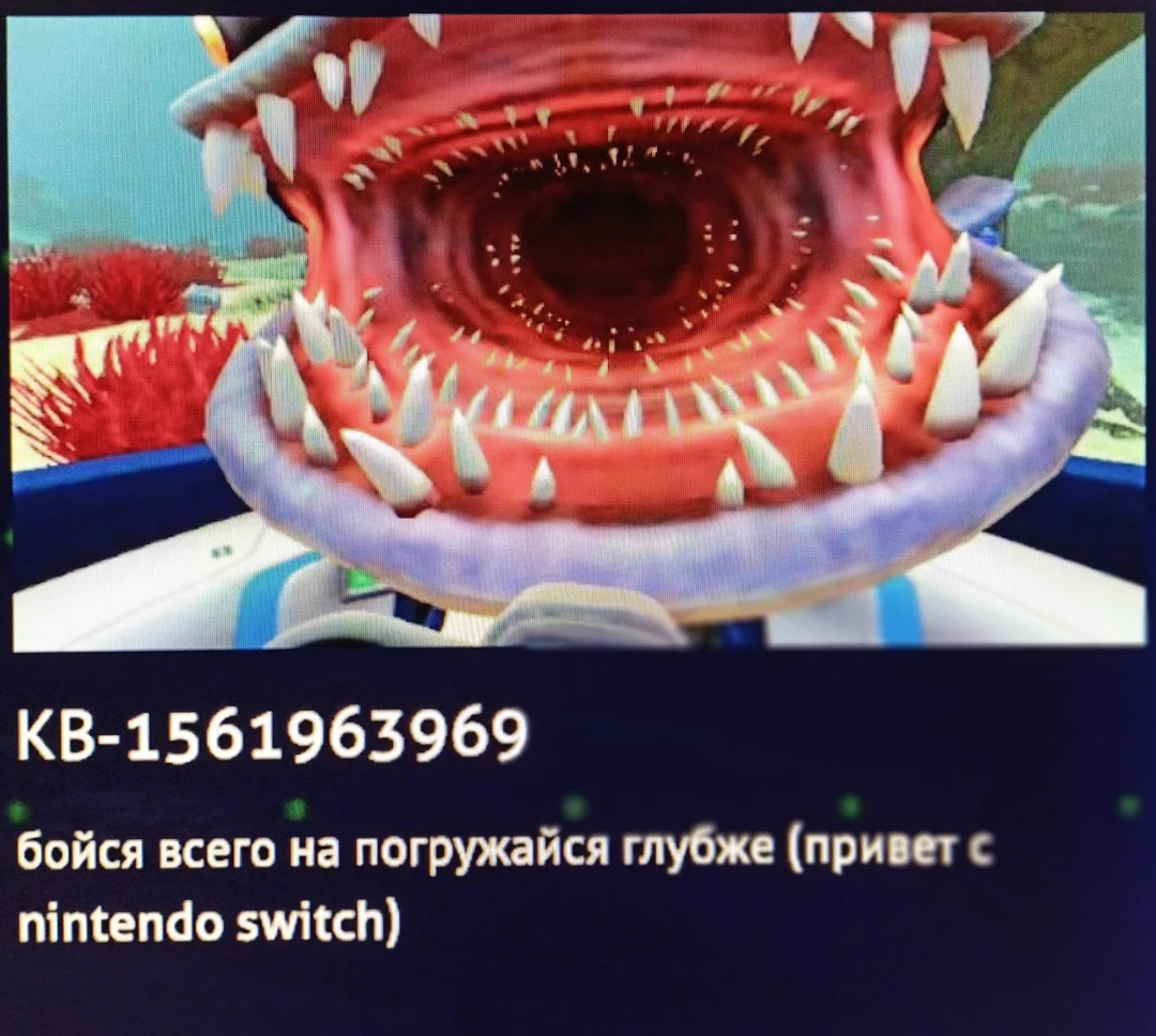 Time capsule | Scrolller