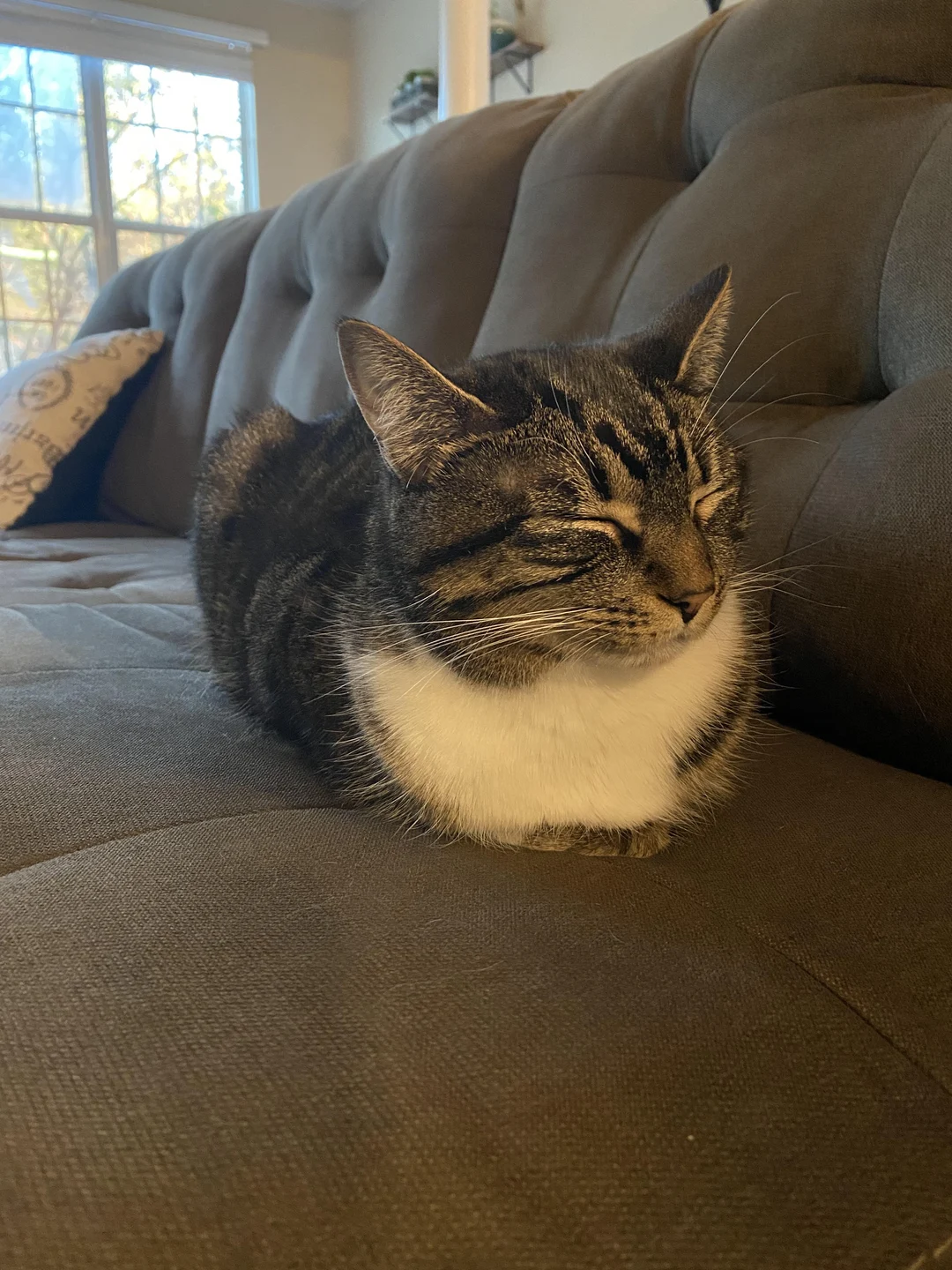 Standard issue loaf | Scrolller