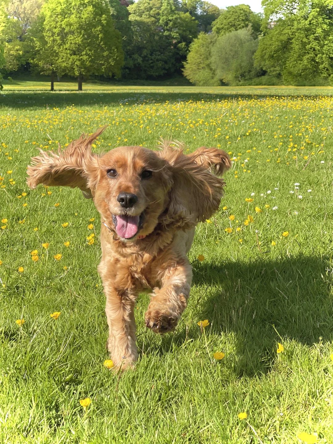 Still my fave pic of her so far | Scrolller