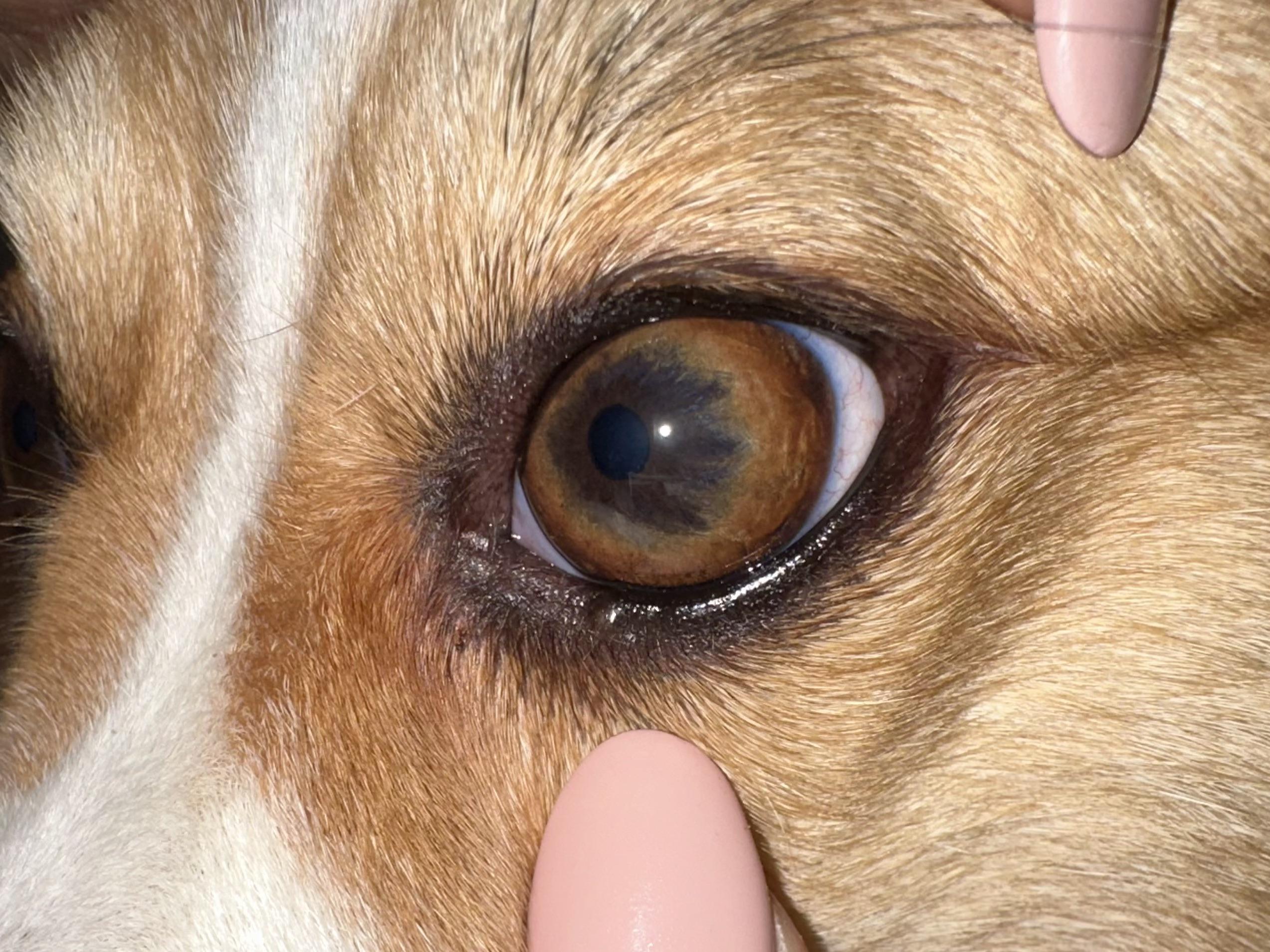 Was wondering if this looks weird? | Scrolller