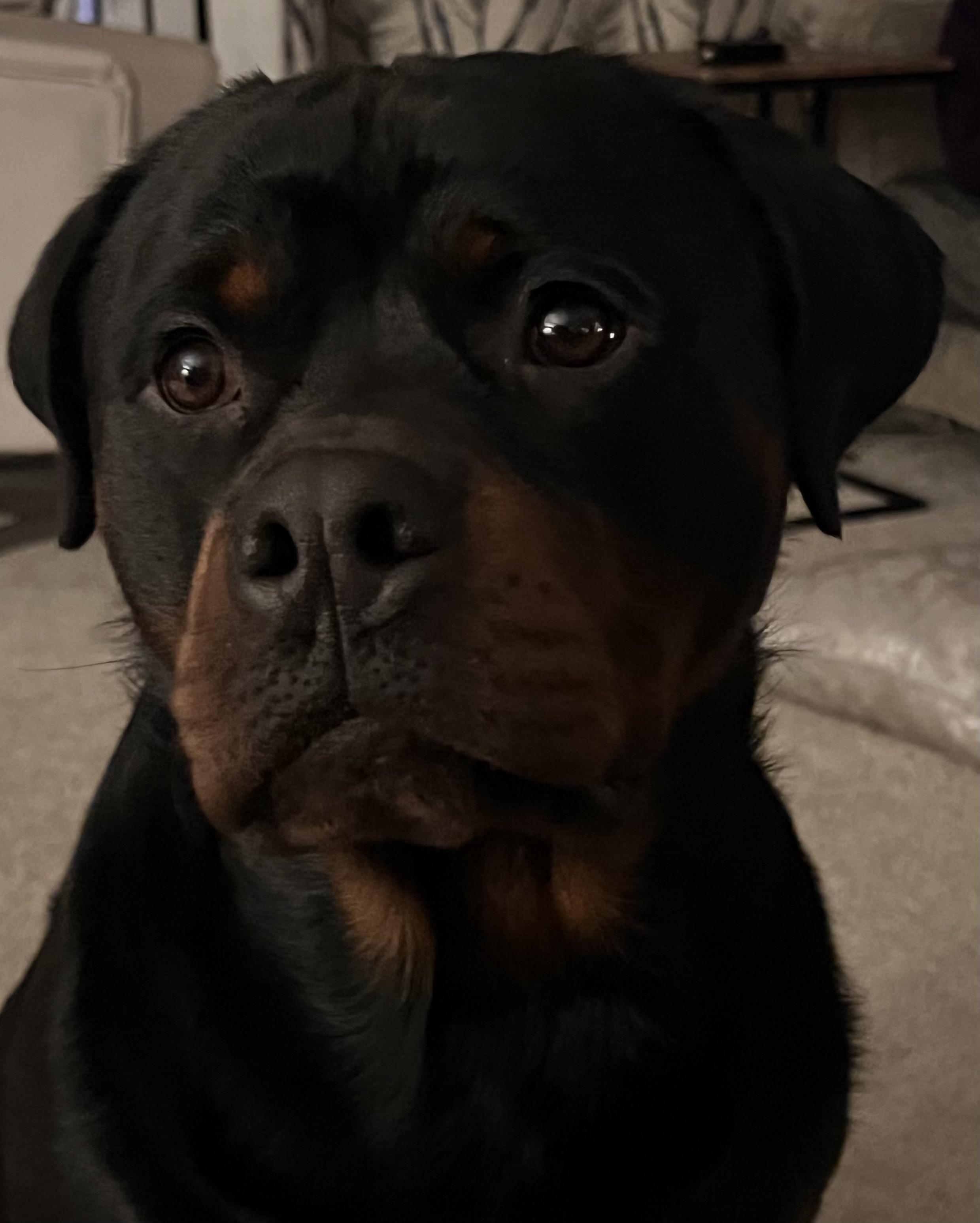 Meet Dennis | Scrolller