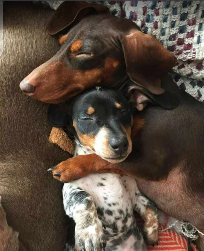 Moms hug | Scrolller