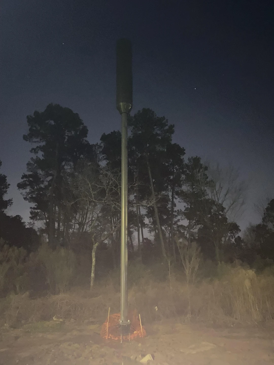 What the hell are these? Taken at Memorial Park. | Scrolller