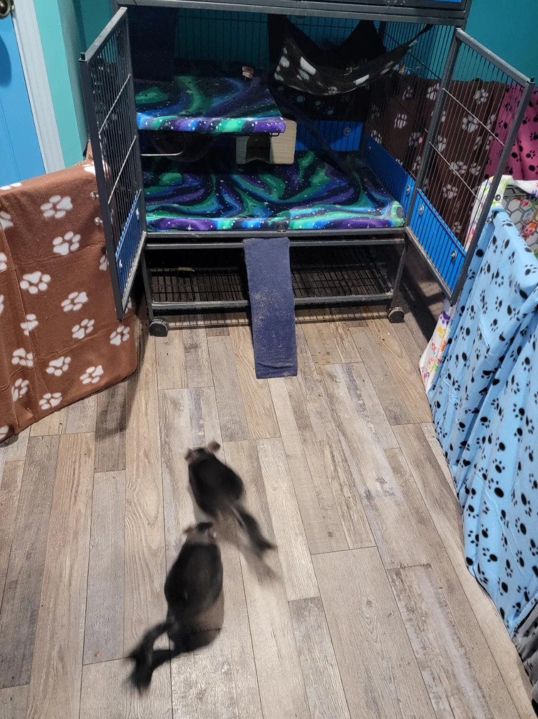 PlayTime | Scrolller