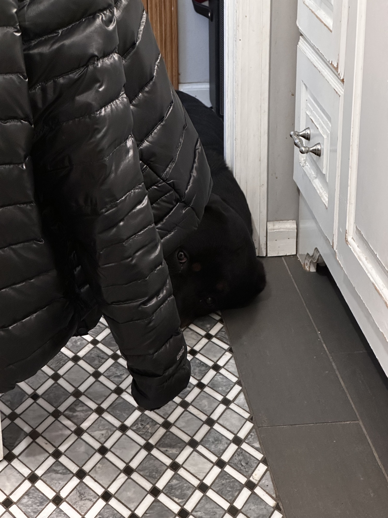 Privacy? Ha, what’s that?! | Scrolller