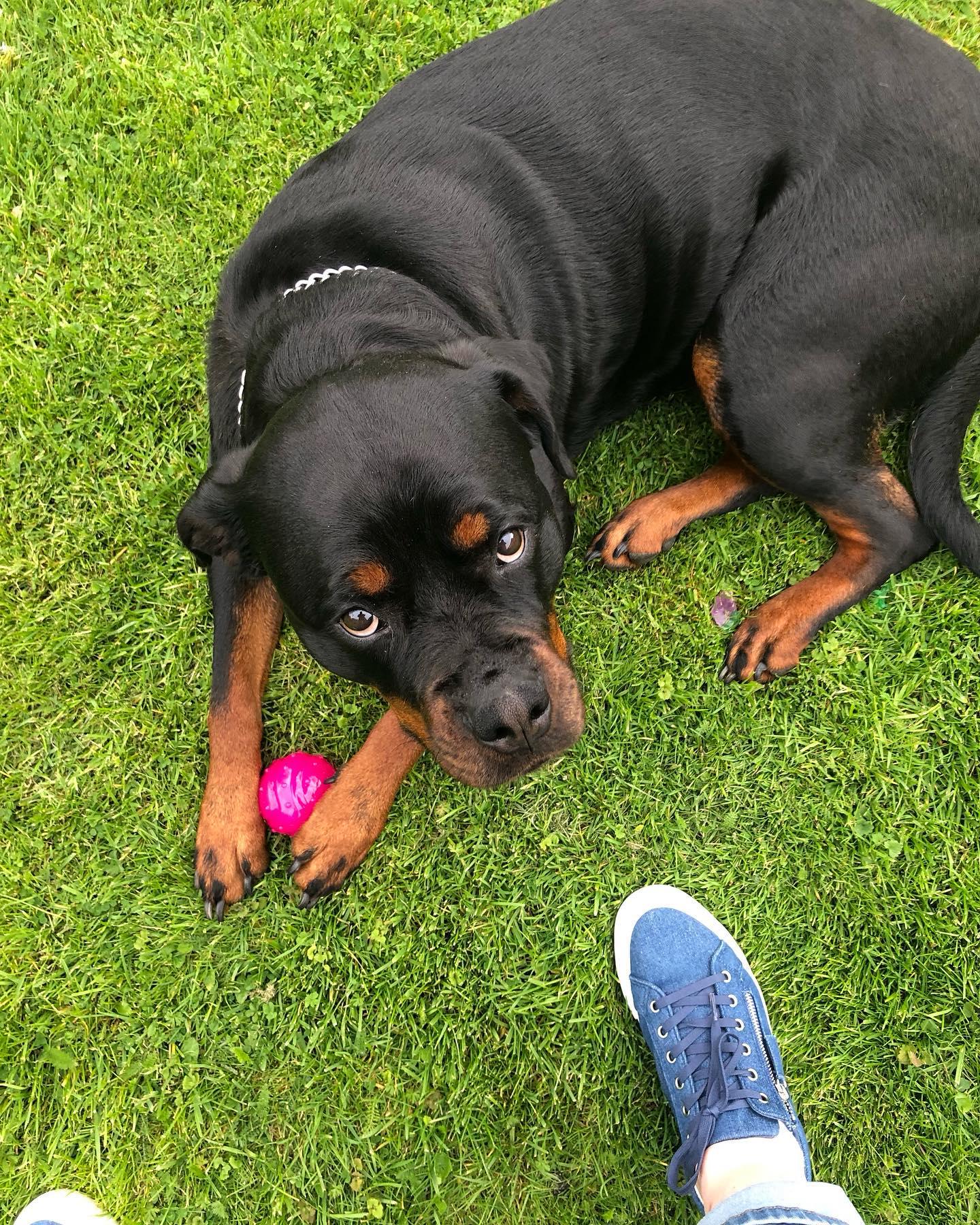 Look these eyes i fall surrender ️ ️ ️ | Scrolller