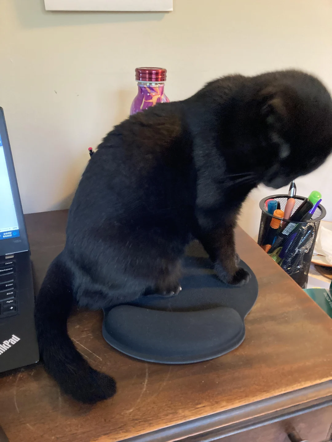 I got a new mouse pad | Scrolller