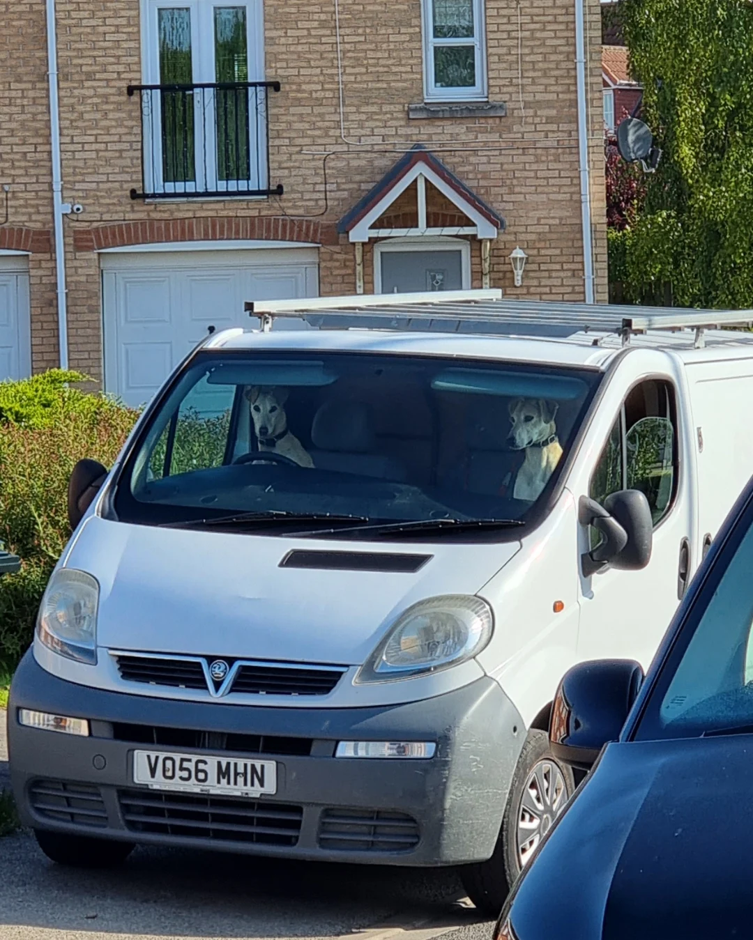 Couple of builders spotted | Scrolller