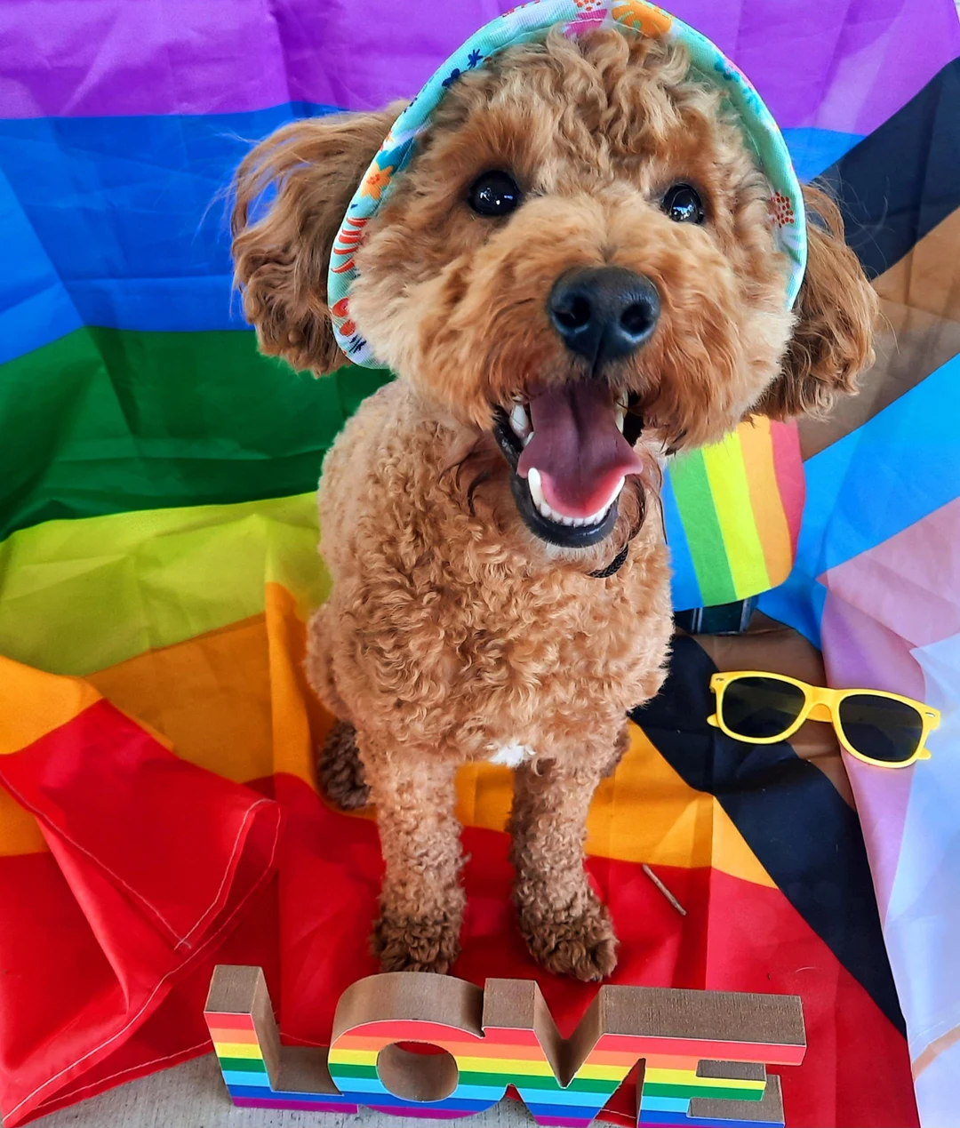 Happy Pride! | Scrolller