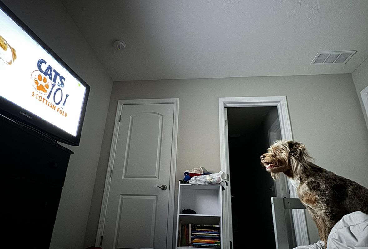 Studying her nemesis | Scrolller