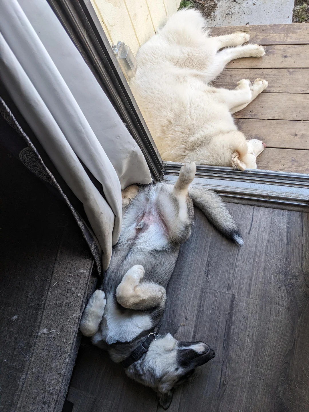 The Floof And The Fuzz Scrolller