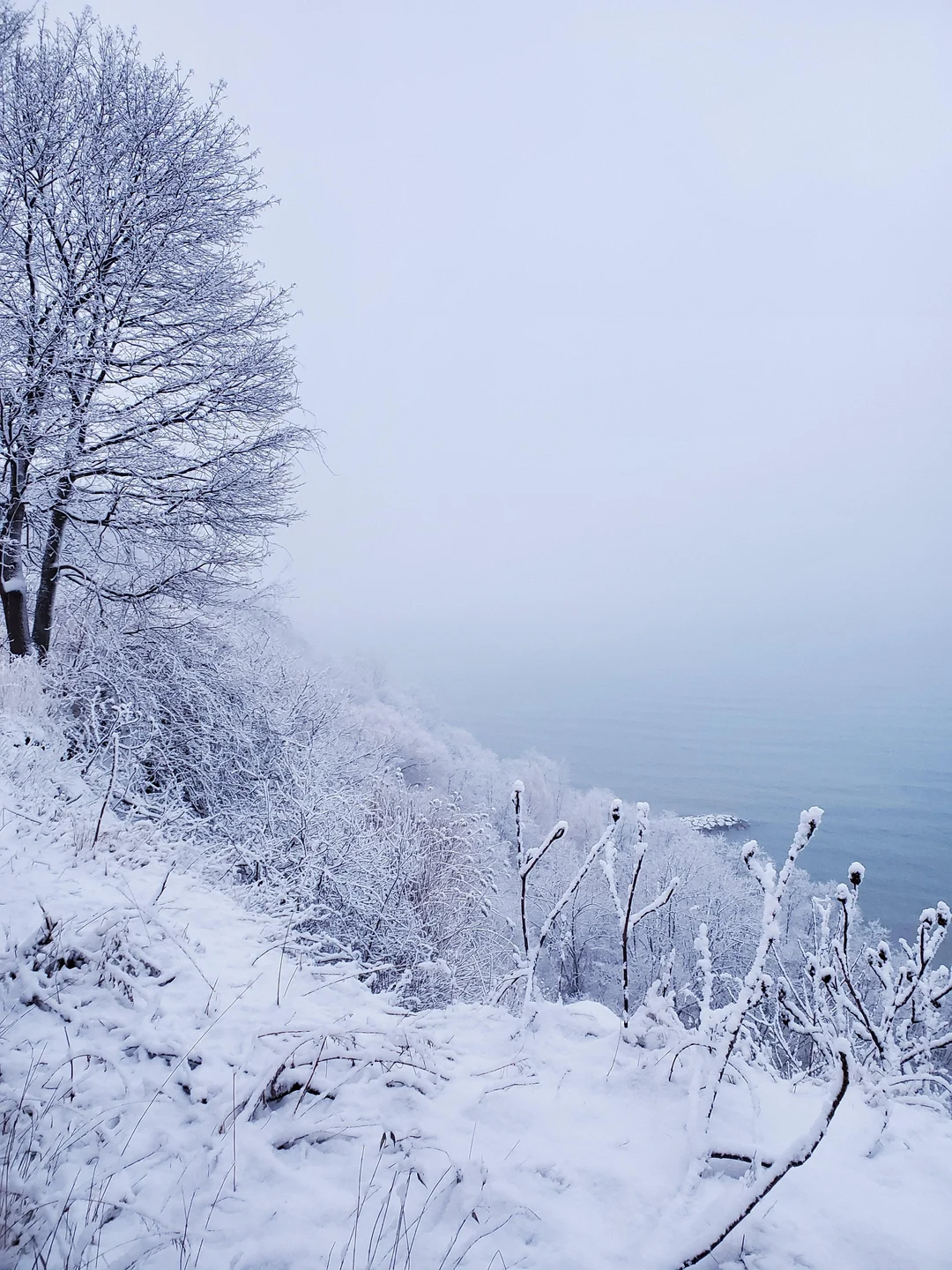 Foggy Lake View | Scrolller