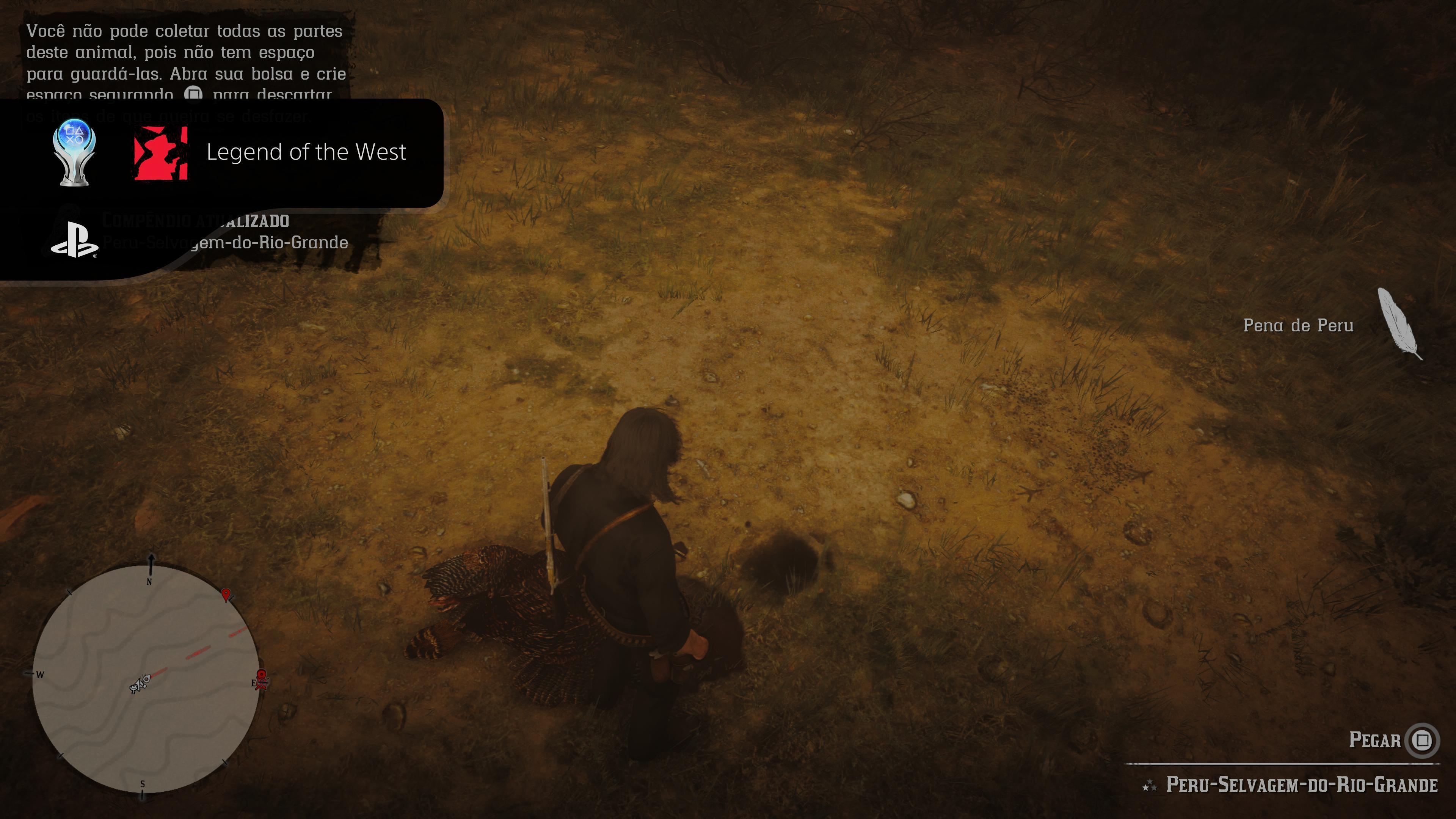 [Red Dead Redemption 2] My first plat! | Scrolller