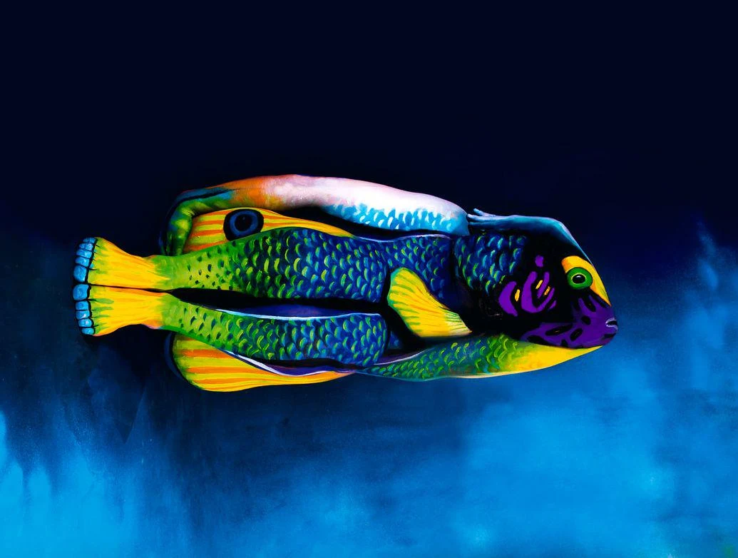 Angelfish, Johannes Stoetter, bodypaint, 2016 | Scrolller