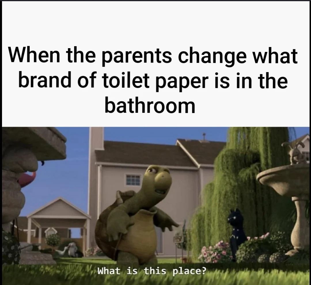 The TP here is... Foreign to my home | Scrolller