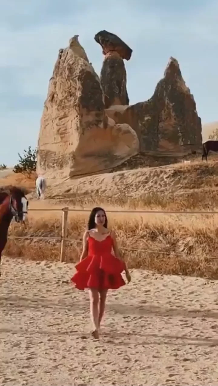 All for internet points | Scrolller