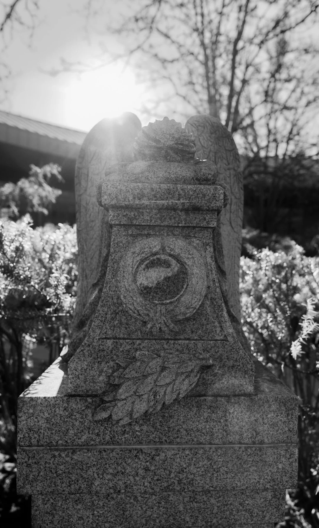 Weeping angel | Scrolller