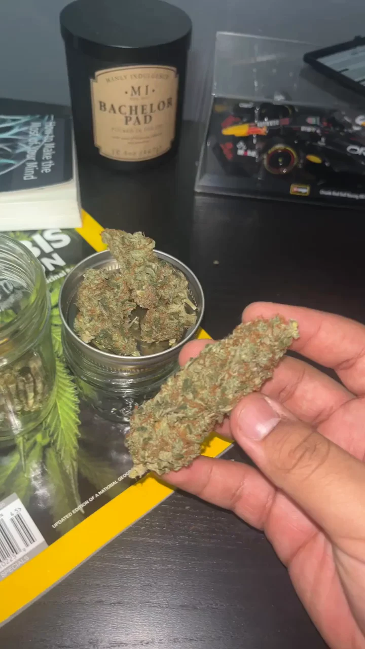 FORBIDDEN FRUIT 🍇🍒 | Scrolller