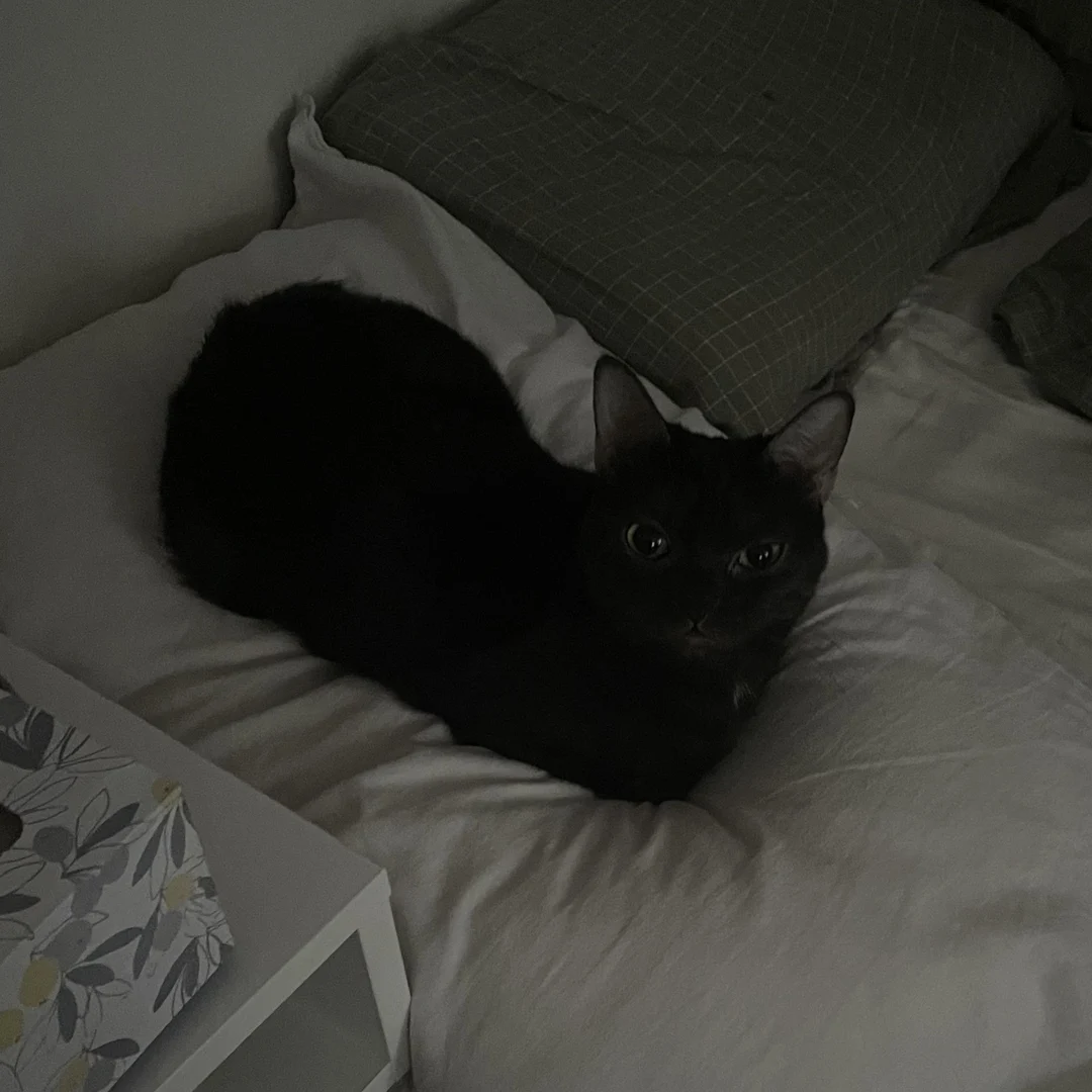 burnt loaf | Scrolller
