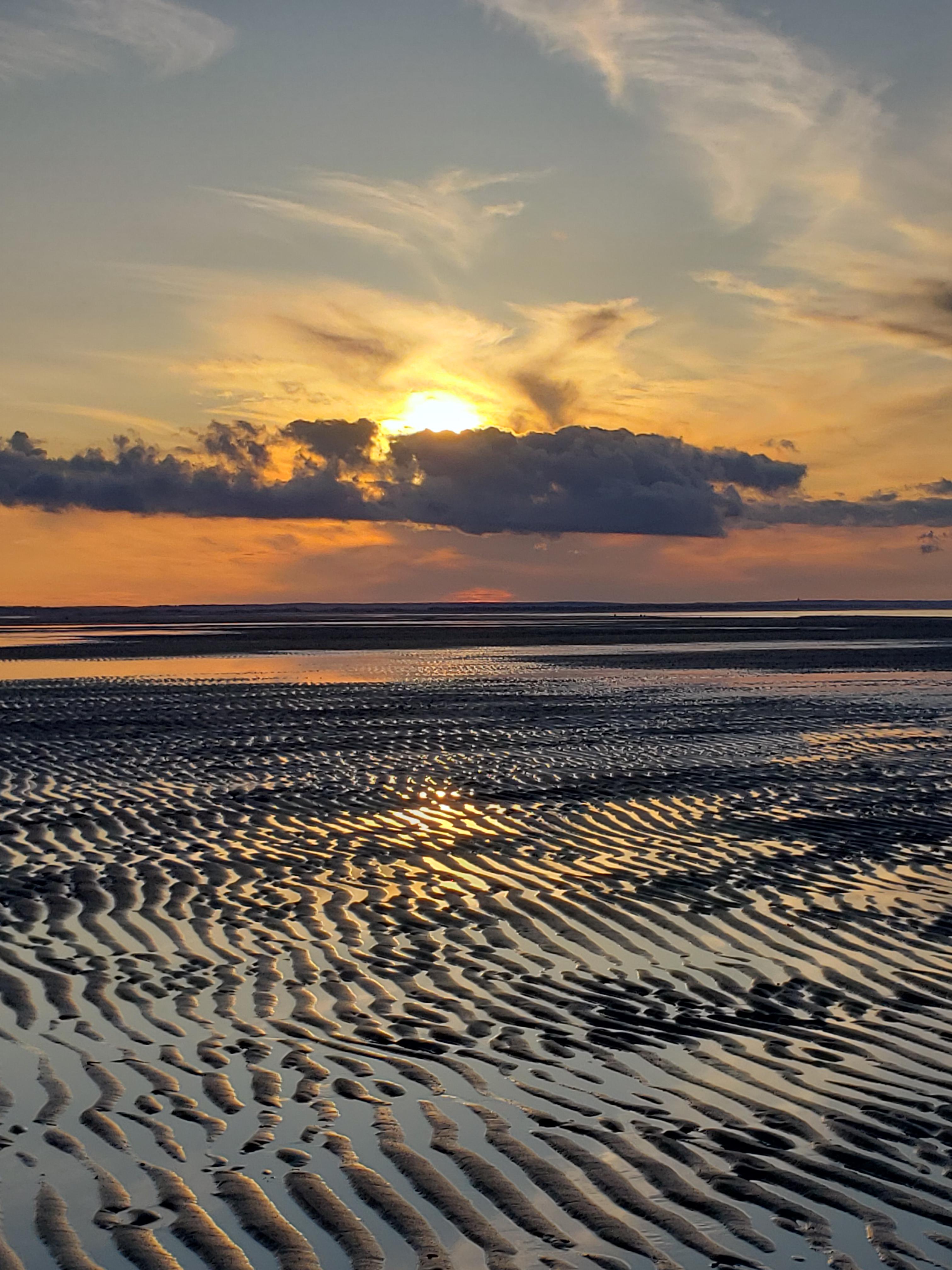 Cape Cod | Scrolller