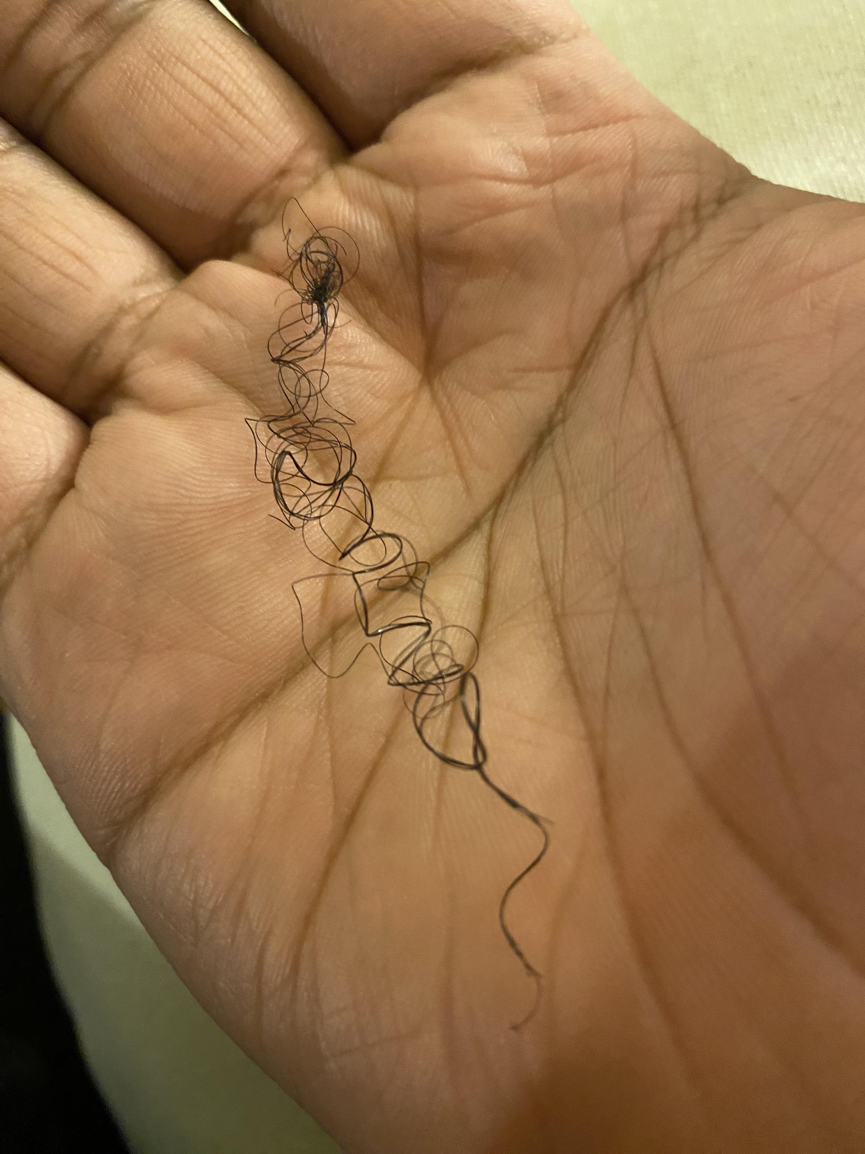 What texture is my hair? | Scrolller