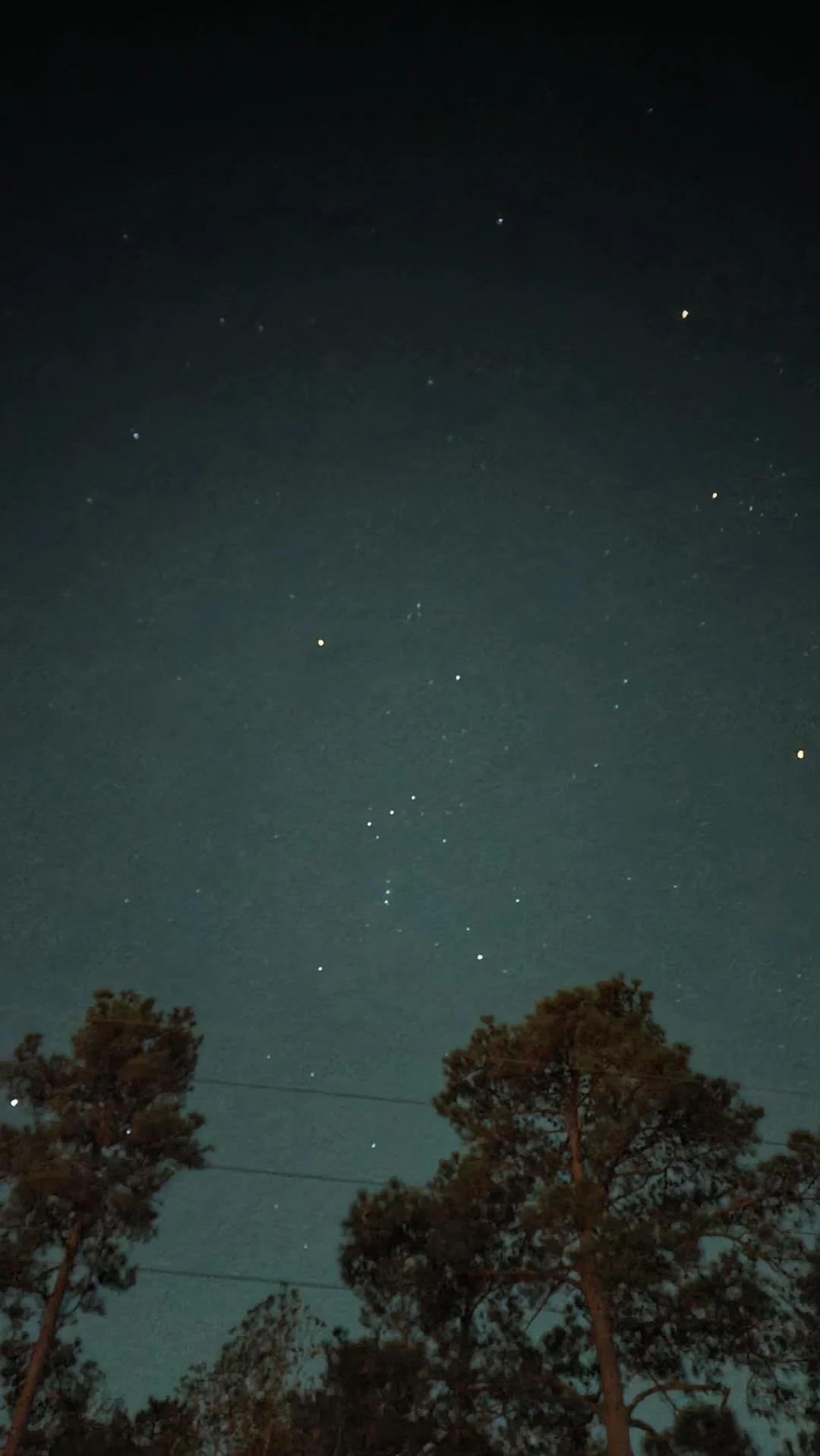 Orion On A Cold Clear Night [OC] | Scrolller