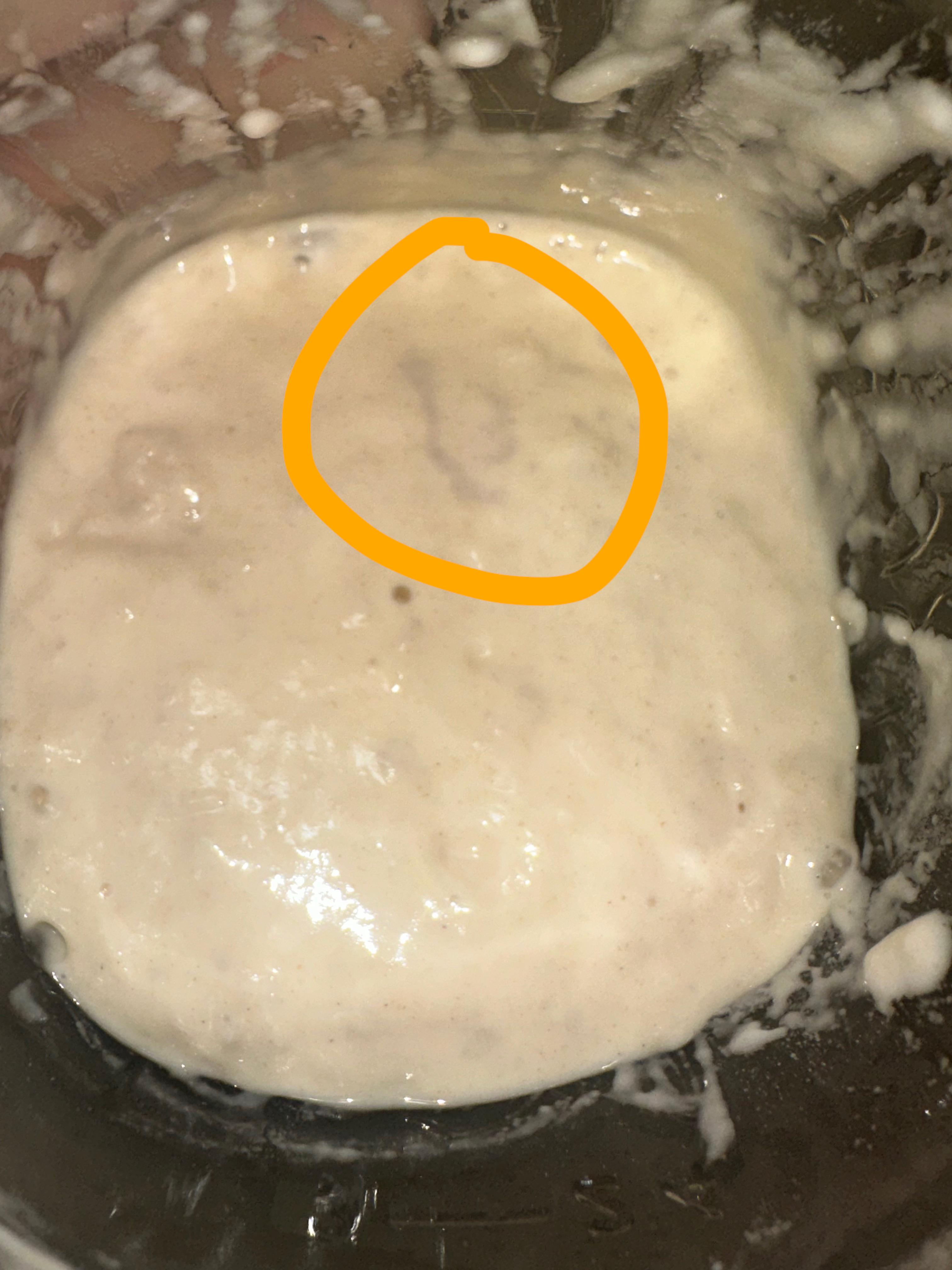 HELP MOLD? | Scrolller